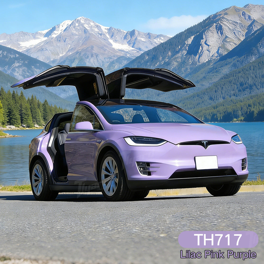 Model X - Color PPF & Paint Protection Film – Tlyard