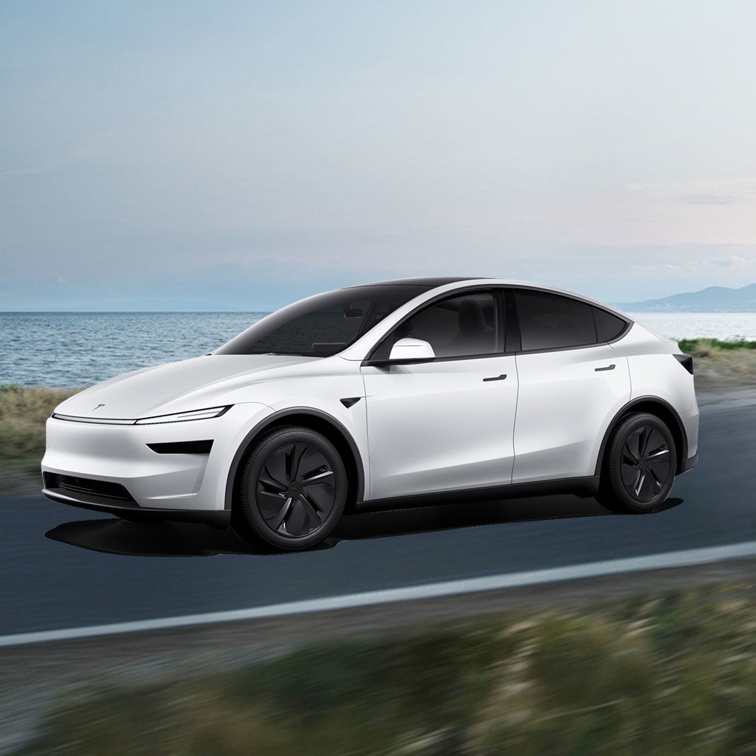 Model Y Juniper – Tlyard